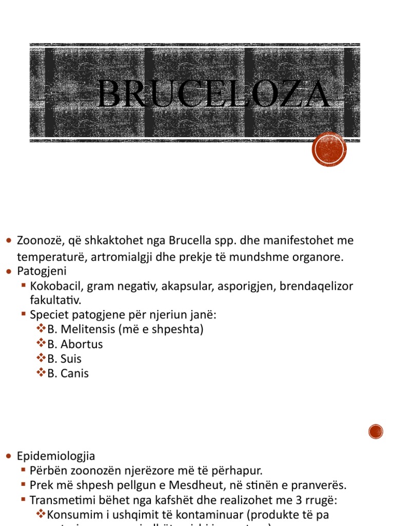 Bruceloza GR 4 | PDF