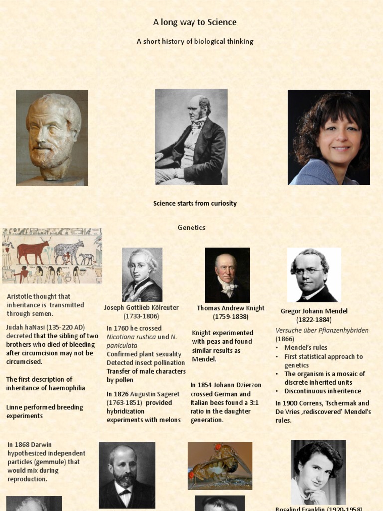 History Biology 3 | Download Free PDF | Genetics | Neuroscience