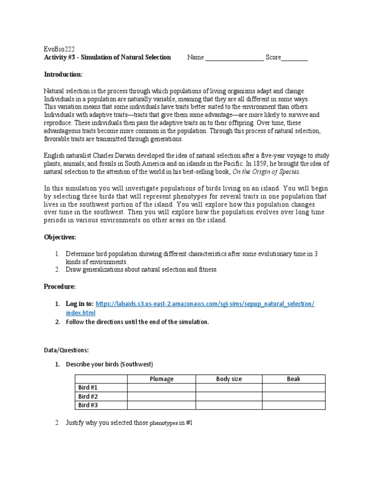 Activity Natural Selection | PDF | Natural Selection | Evolution