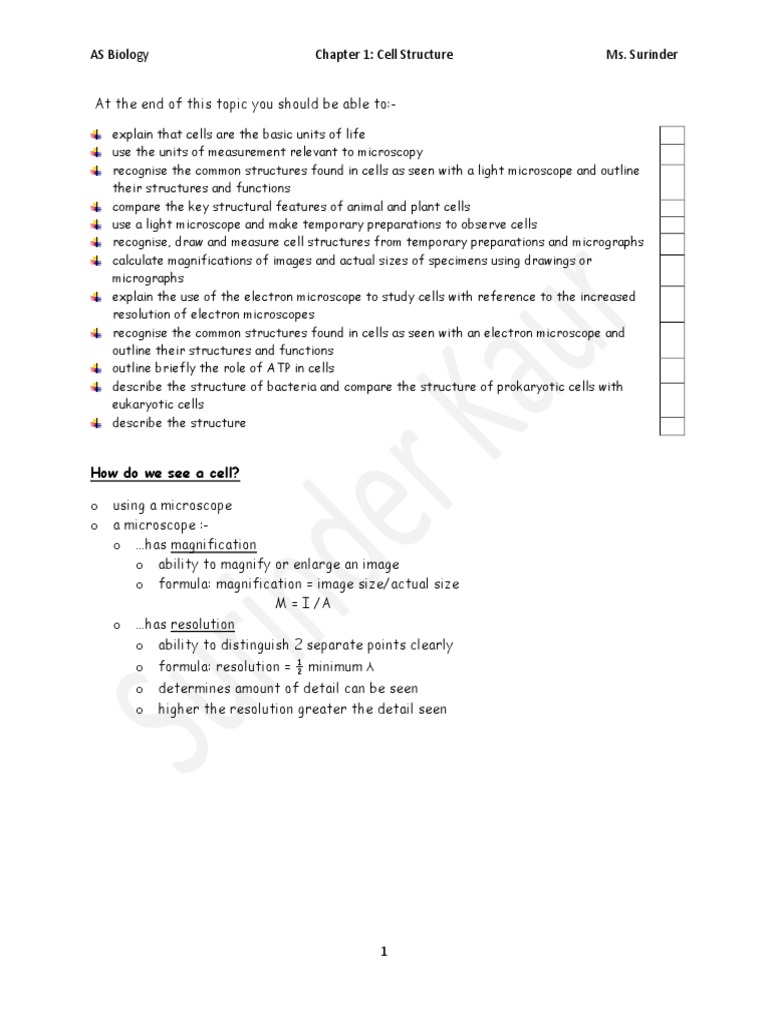 Cell Structure A Level Biology Notes | PDF