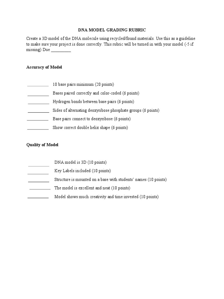 Dna Model Grading Rubric | PDF
