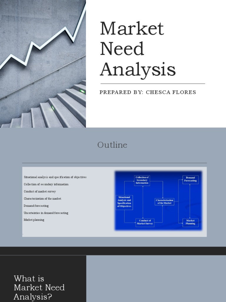 Market Need Analysis Overview | PDF | Marketing | Market (Economics)