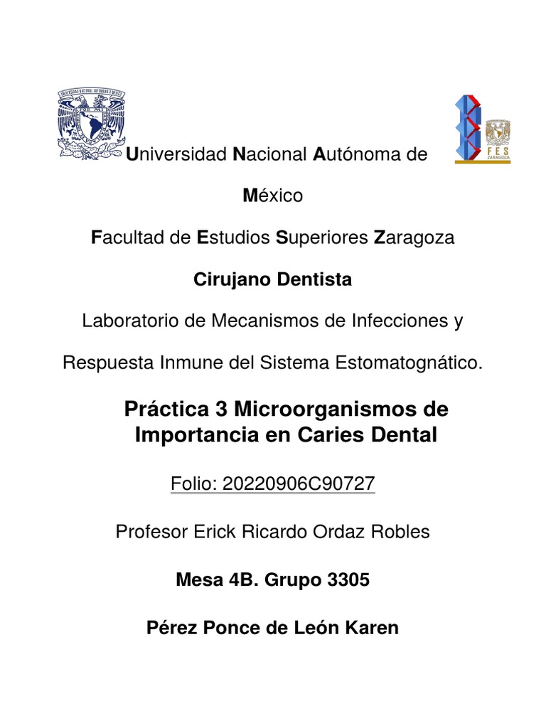 Pract3 Tercer Año | PDF | Estreptococo | Las bacterias