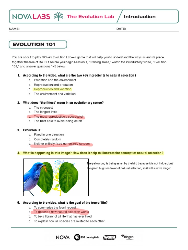 Kami Export - Yunus Haq - NOVA_Evolution_Lab_Worksheets | PDF ...