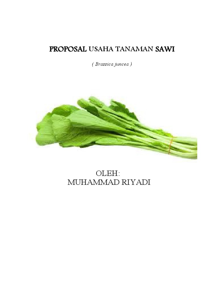 Proposal Usaha Tanaman Sawi | PDF