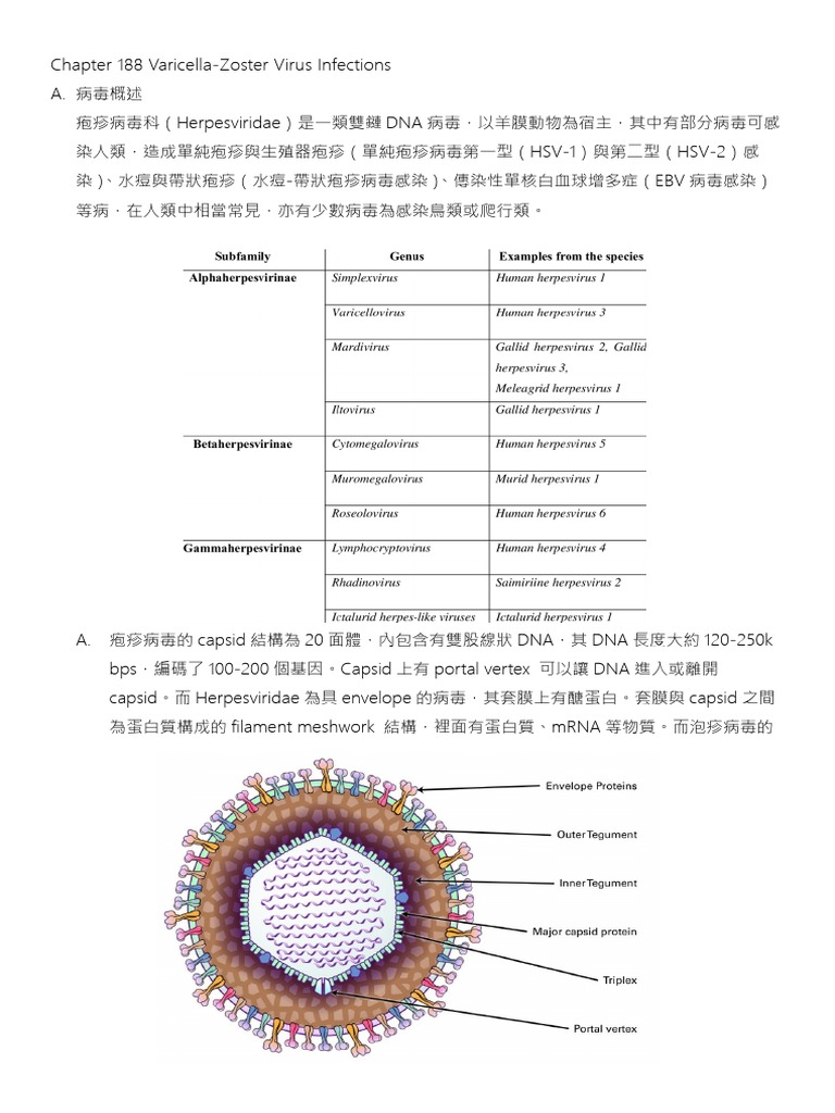 Chapter 188 Varicella+199 EBV | PDF