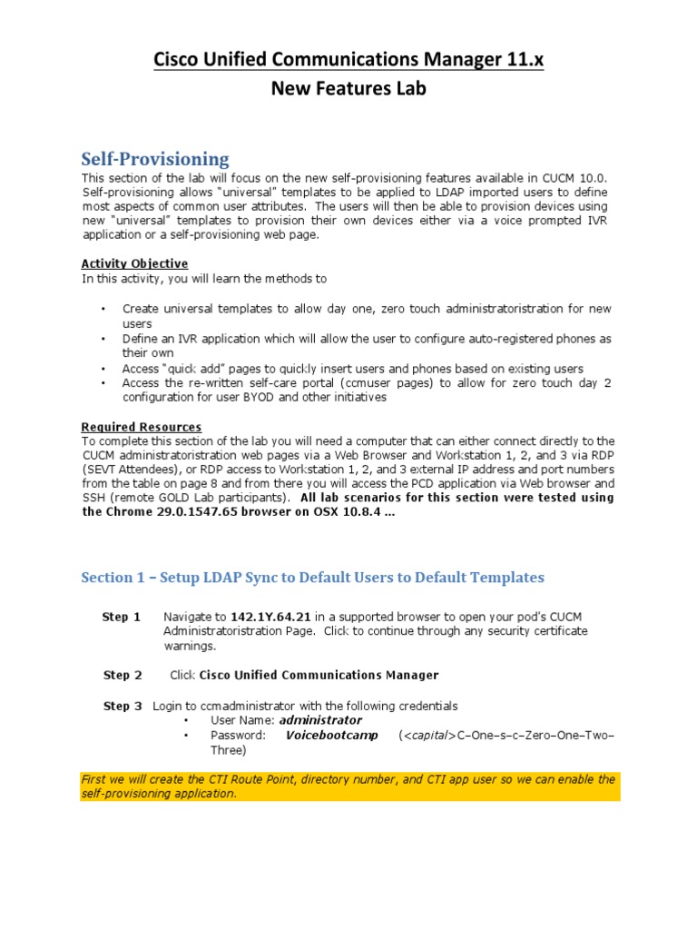 Self Provision Lab | PDF | Information Technology Management | Software Development