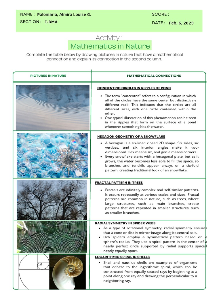 Mathematics in Nature: Activity 1 | Download Free PDF | Pattern | Fractal