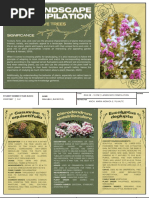 Kalachuchi Tree: A Filipino Legacy | PDF