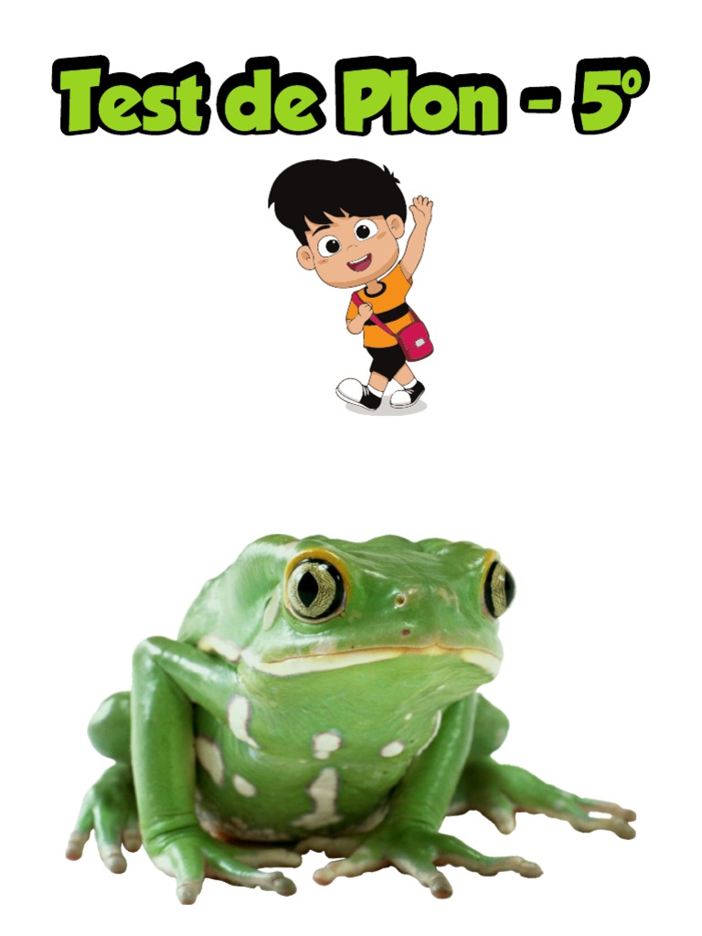 Plon R - 5 Años | PDF