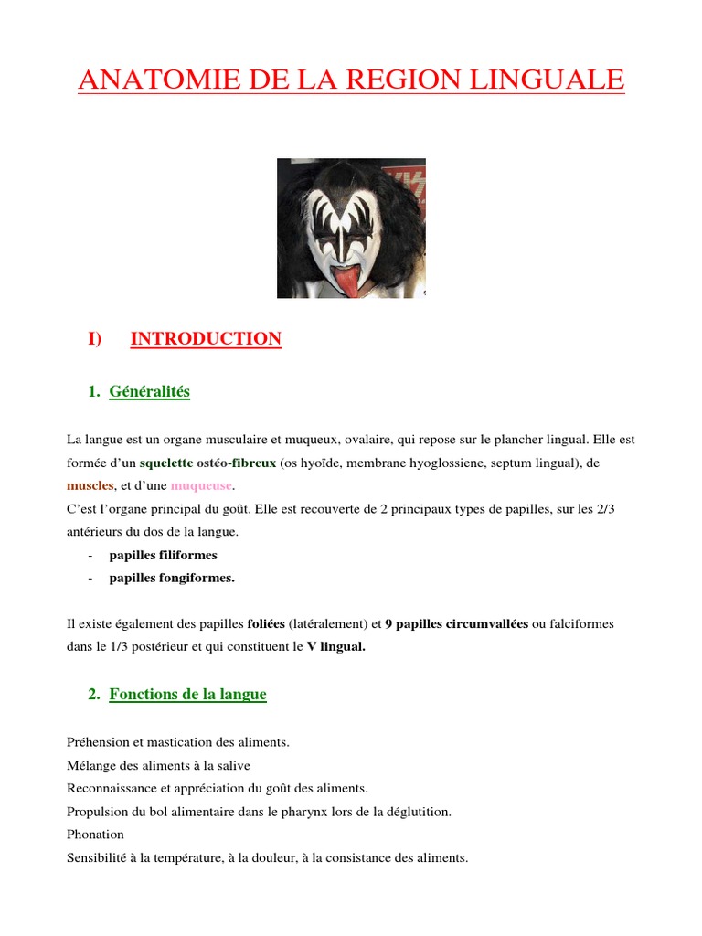 Anatomie de La Région Linguale | PDF | Langue | Organe