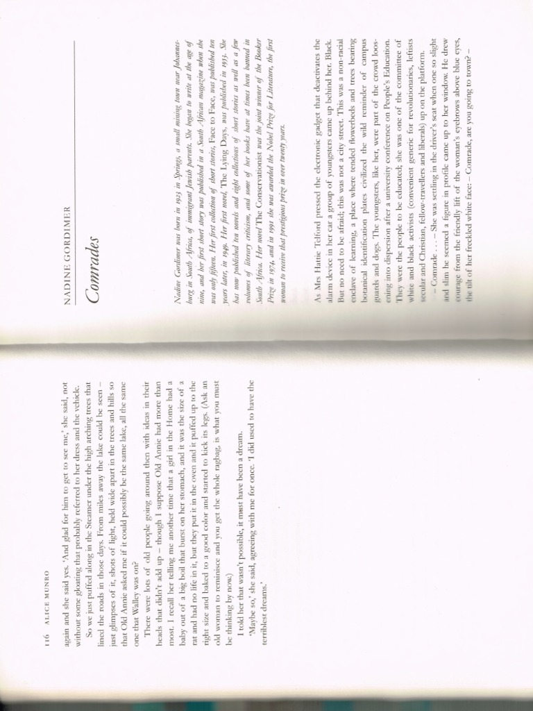 Comrades - Gordimer | PDF