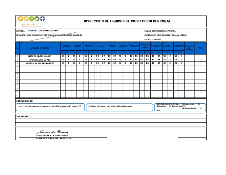Formato Inspeccion de EPP | PDF