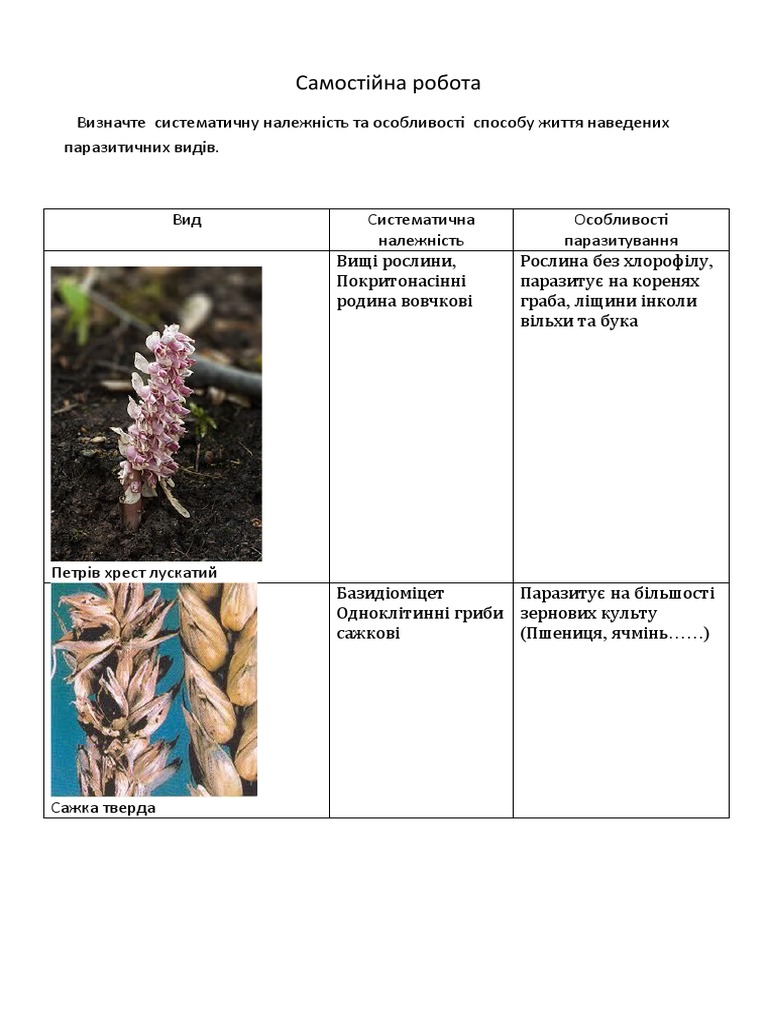 Untitled | PDF