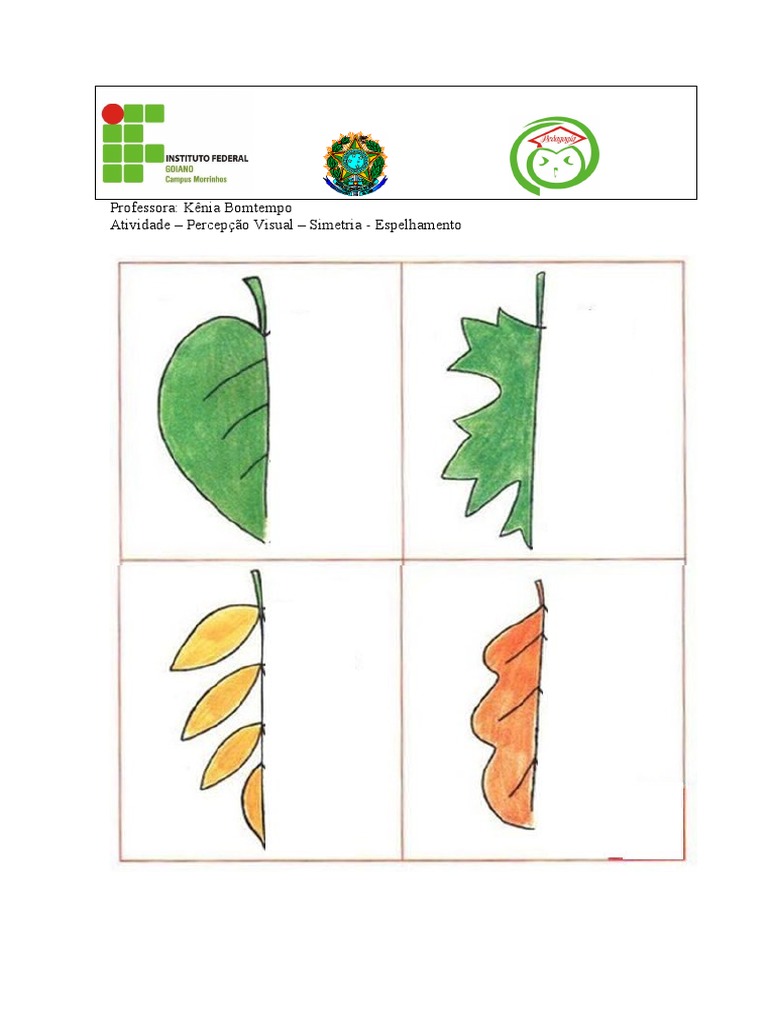 Atividade de Simetria e Espelhamento para Explorar a Percepção Visual | PDF