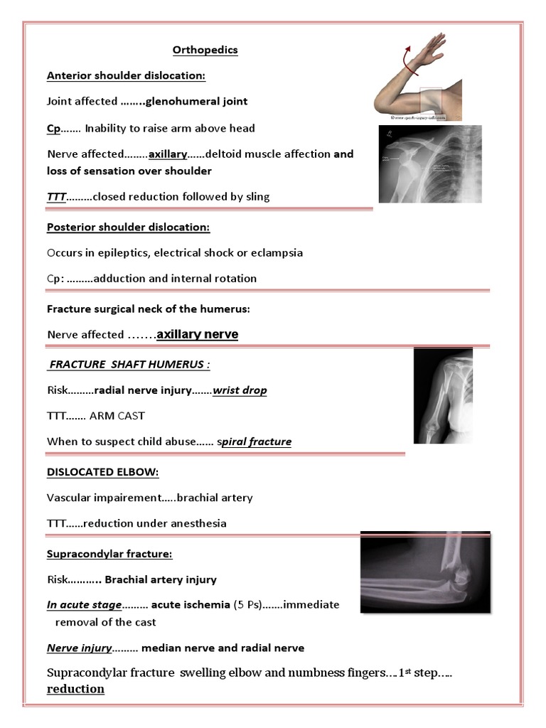 Orthopedics and Anatomy | PDF | Elbow | Knee