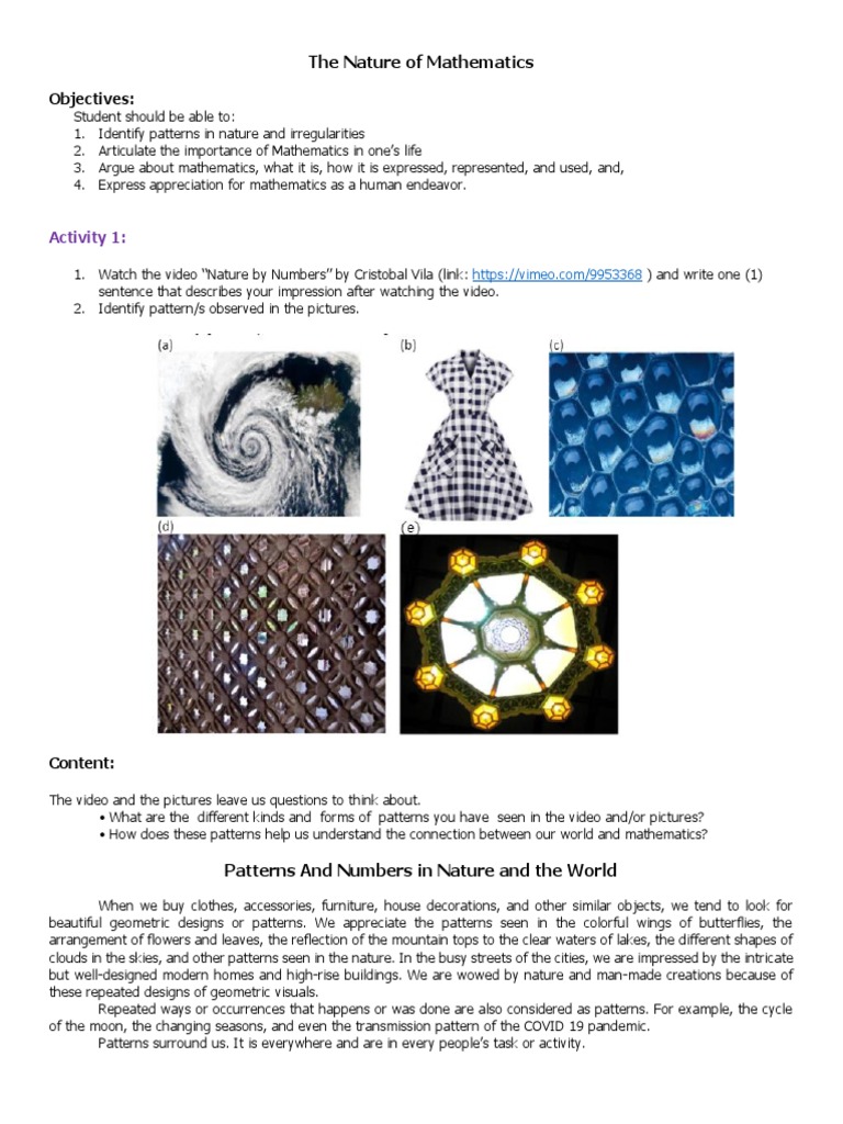 The Nature of Mathematics: Activity 1 | PDF | Pattern | Symmetry