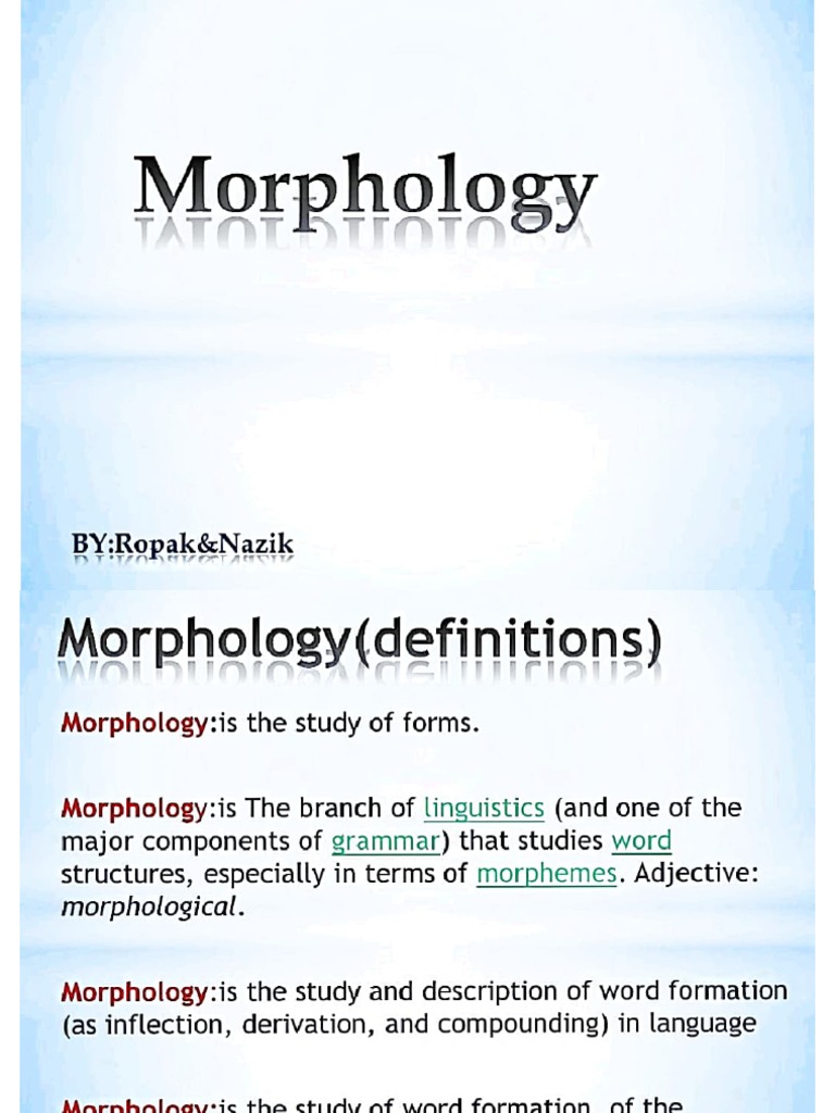 Morphology | PDF