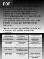 GRR GPC Diagnóstico y Tratamiento de TIÑA Y ONICOMICOSIS en El Primer ...