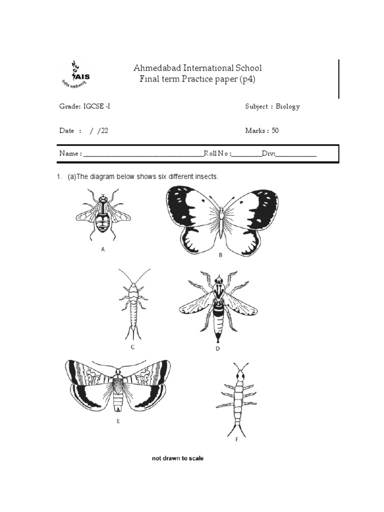 Practice Paper p4 | PDF | Wellness