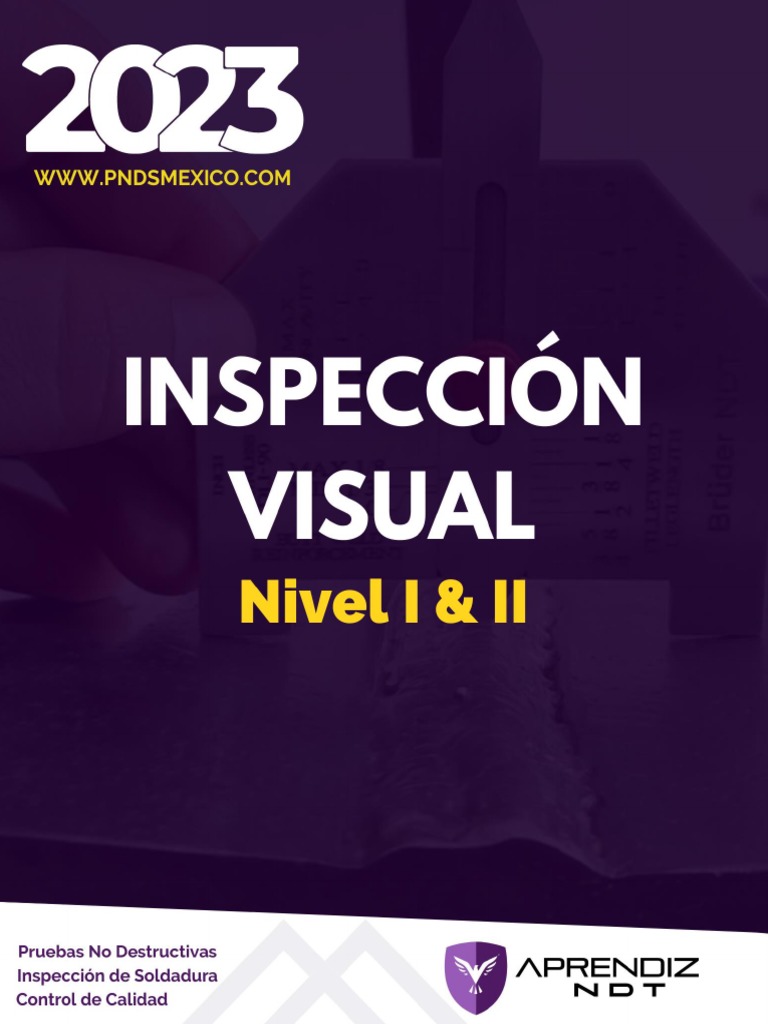 Manual de Inspeccion Visual Nivel I II | PDF | Ojo humano | Ligero