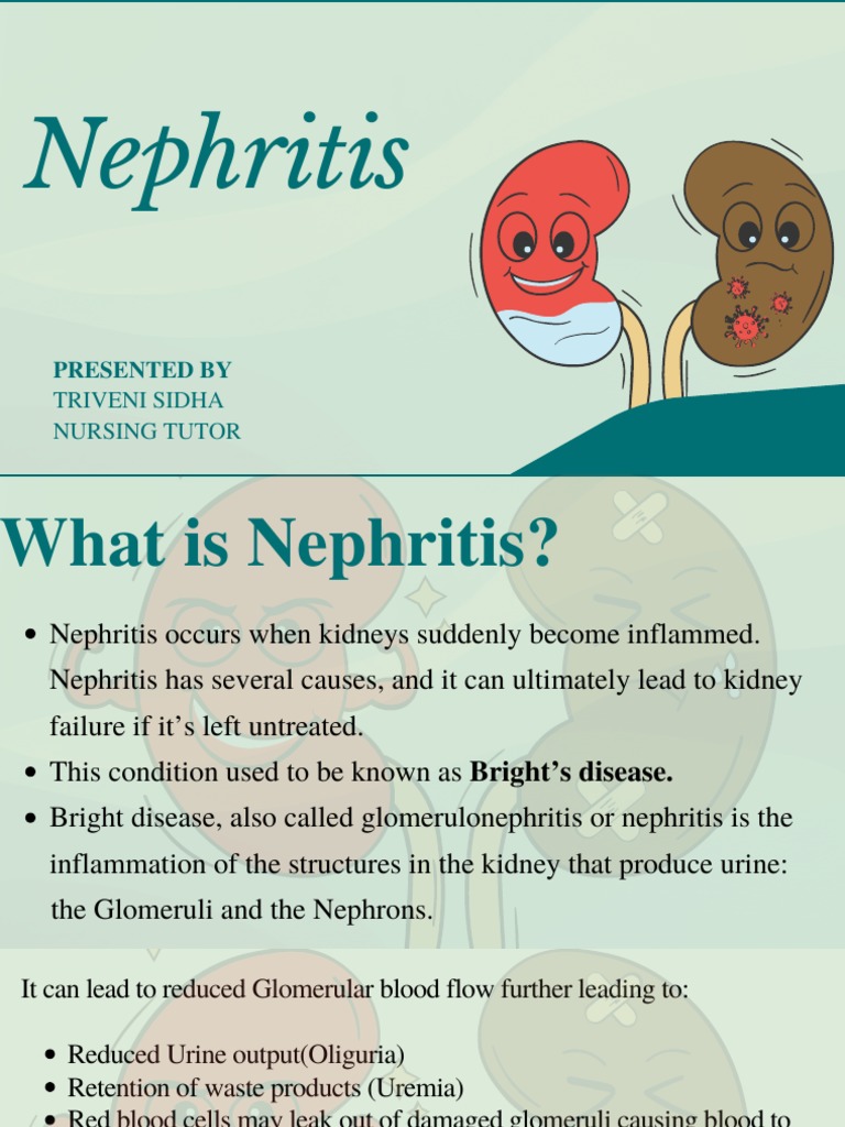 Understanding Nephritis: Causes & Symptoms | PDF | Kidney Disease | Edema
