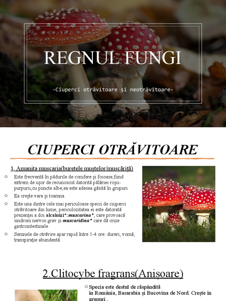 Proiect-Regnul Fungi | PDF