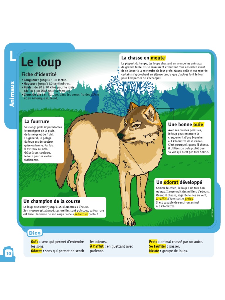 Le Loup Pdf