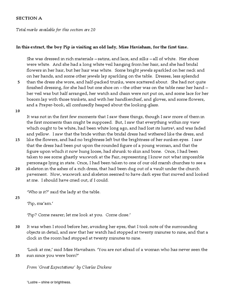 Miss Havisham's First Meeting | PDF | Great Expectations | Clothing