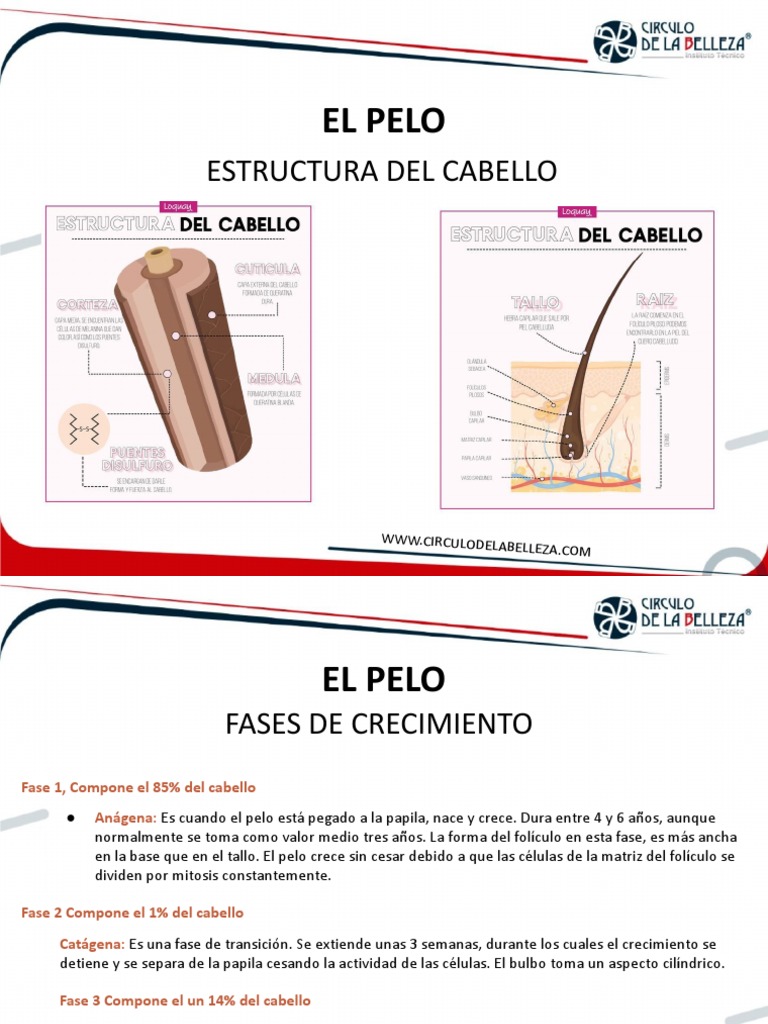 El Pelo | PDF