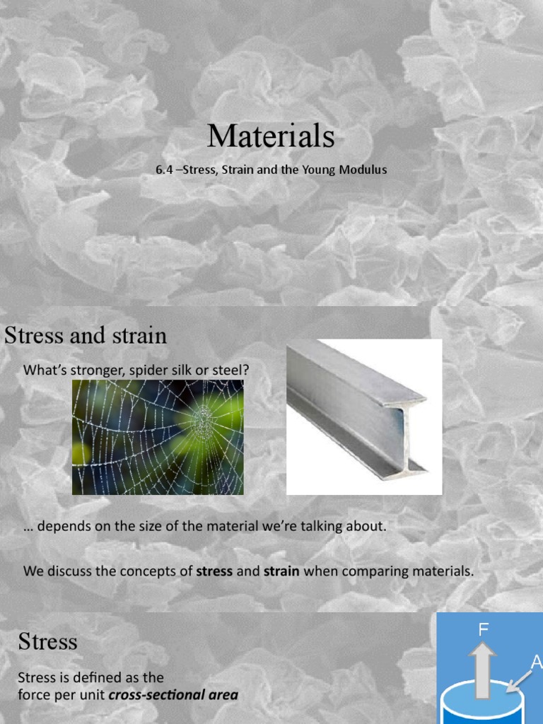 6.4 Stress Stain and The Young Modulus | PDF | Strength Of Materials ...