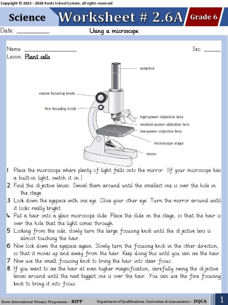 Worksheet 2.6A | PDF