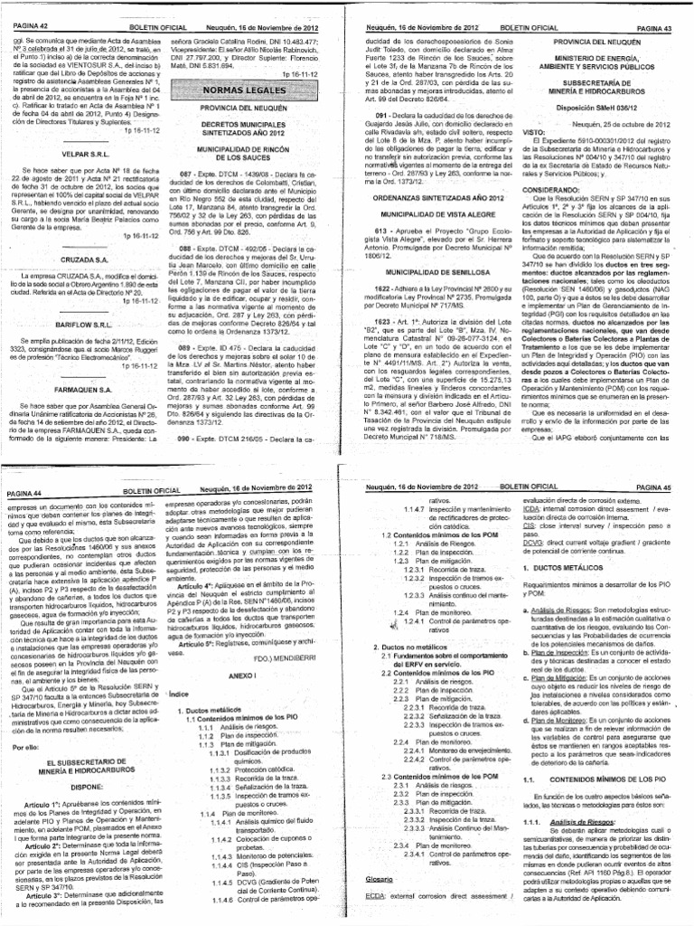Disposición SMeH 036-12 NQN Anexo Impreso | PDF