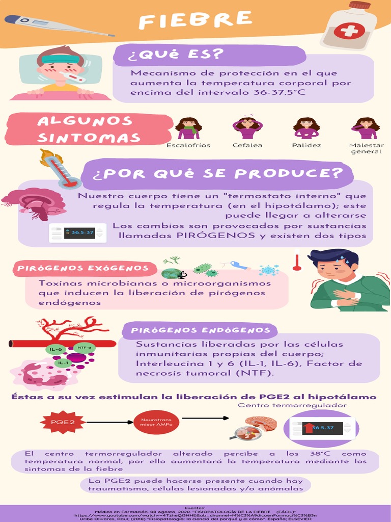 Infografía Fiebre | PDF