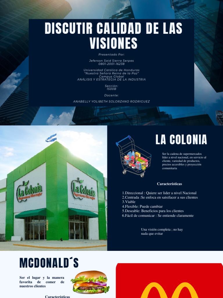 Análisis de Visiones Empresariales | PDF | Cliente | Economias