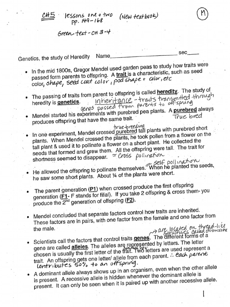 Genetics Answers To Notes and Worksheets | PDF