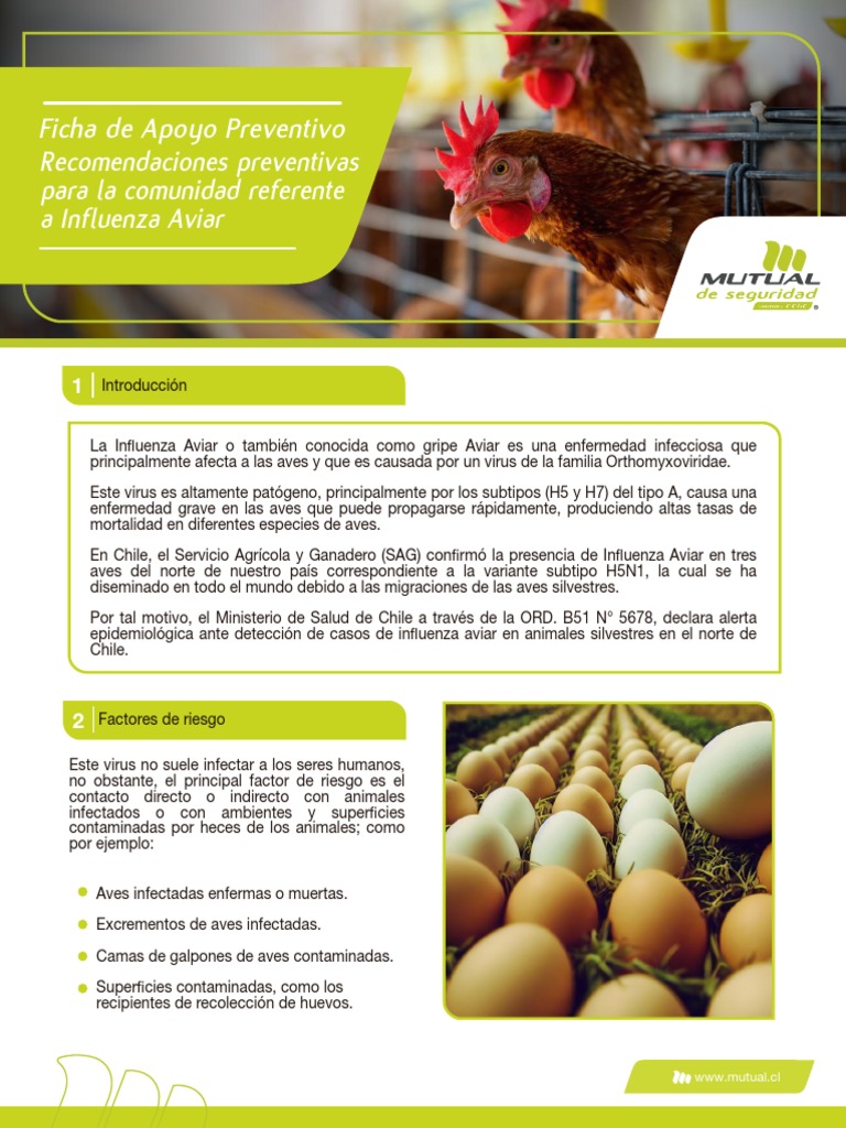 Influencia Avial | PDF | Influenza aviar | Influenza