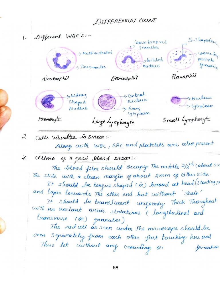 Differential Count | PDF