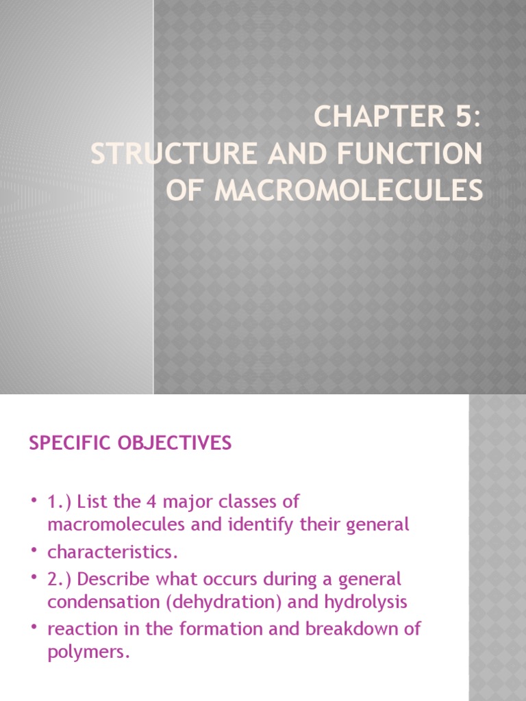 Macro Molecules | PDF | Protein Structure | Nucleic Acids