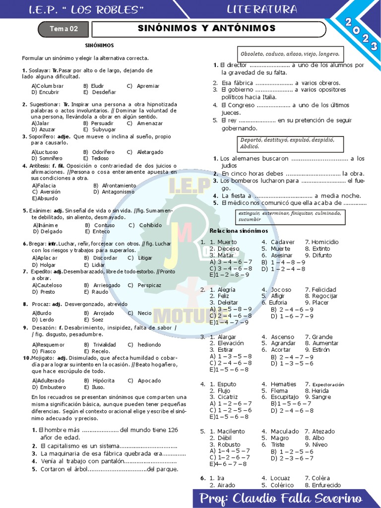 Tema 2 Sinonimos | PDF