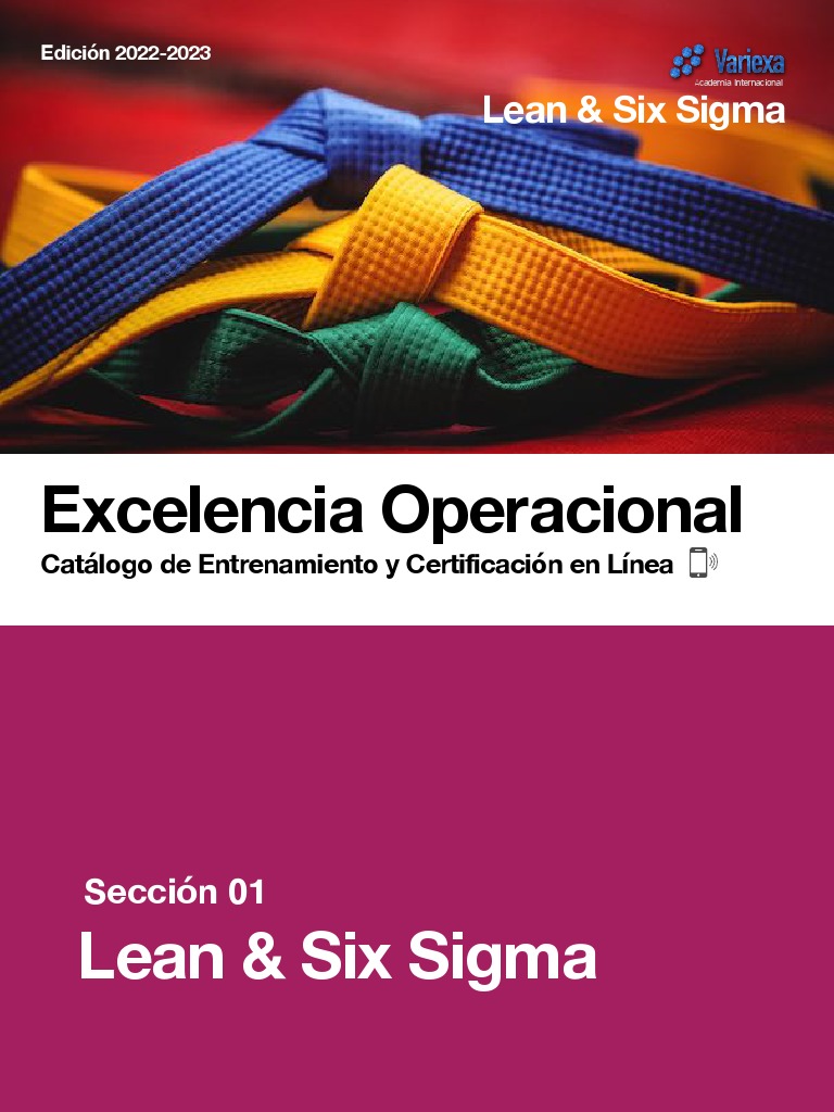 Catálogo de Certificación Lean Six Sigma - Variexa | PDF | Lean Manufacturing | Six Sigma