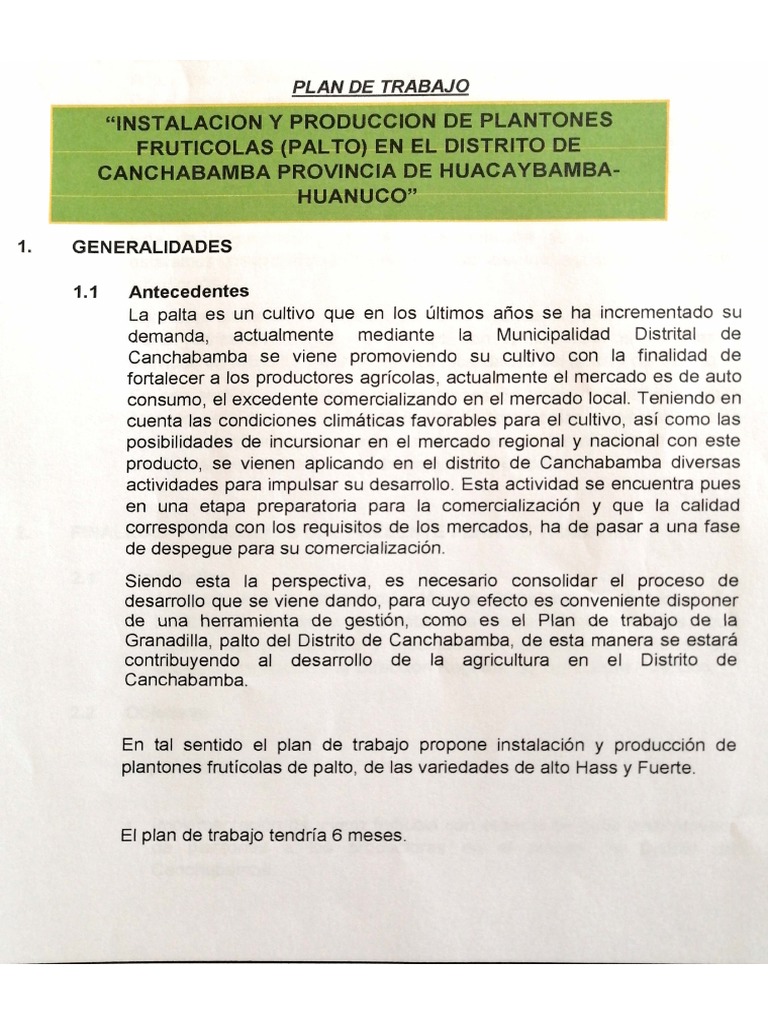Plan de Trabajo Del Cultivo de Palto en Vivero | PDF