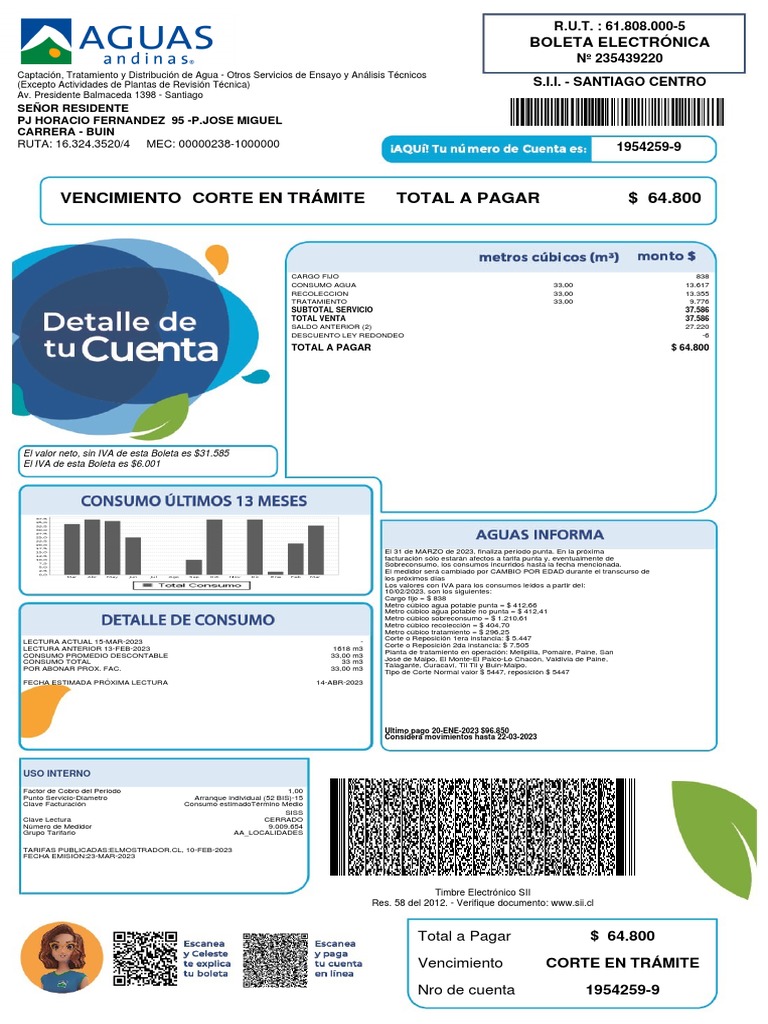 Boleta Electrónica de Agua SII 2023 | PDF | Administracion del Agua ...