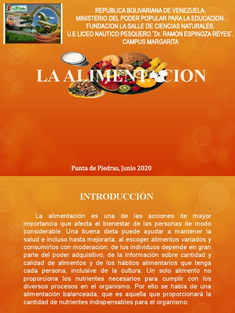 La Alimentación | PDF | Alimentos | Dieta
