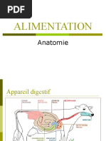 Anatomie de l'appareil digestif de la vache | PDF | Bovins domestiques ...