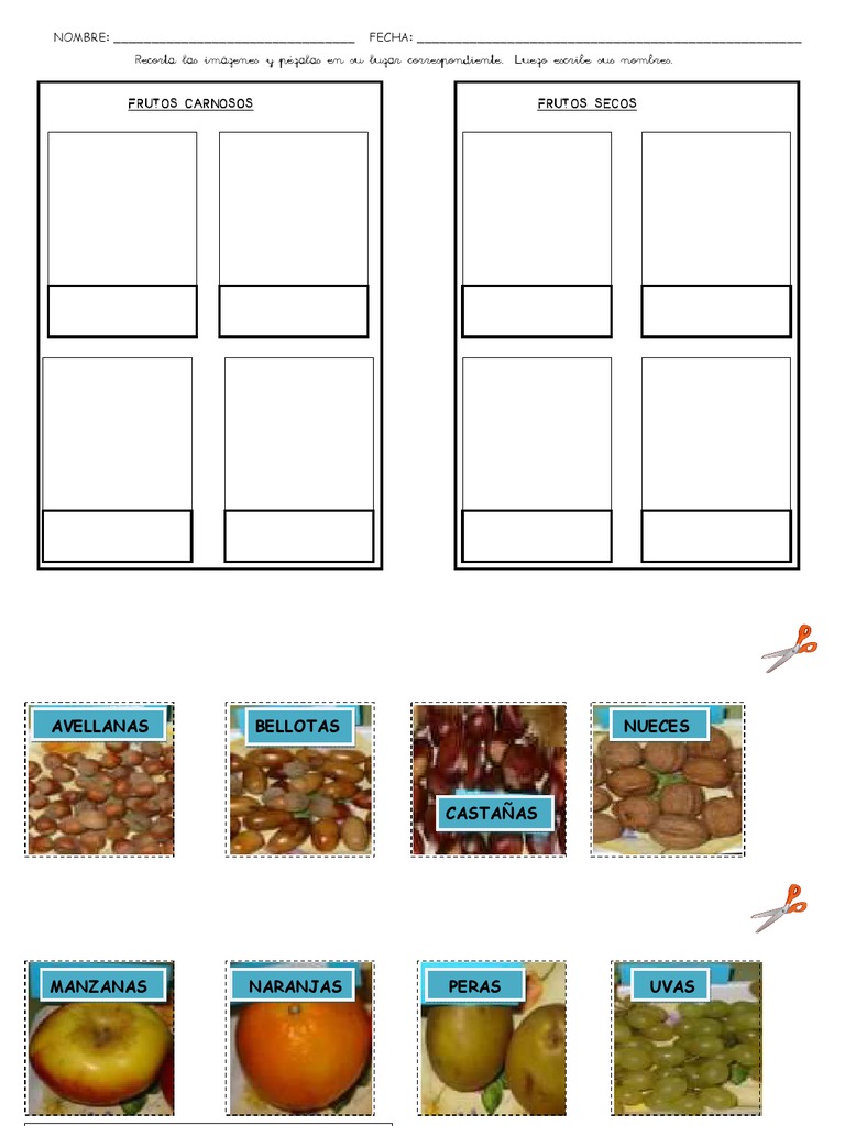Frutos Secos y Carnosos del Otoño | PDF