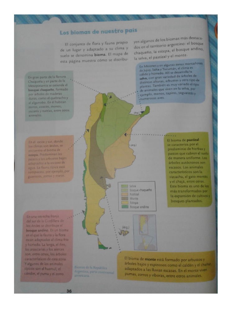 Biomas de Argentina | PDF