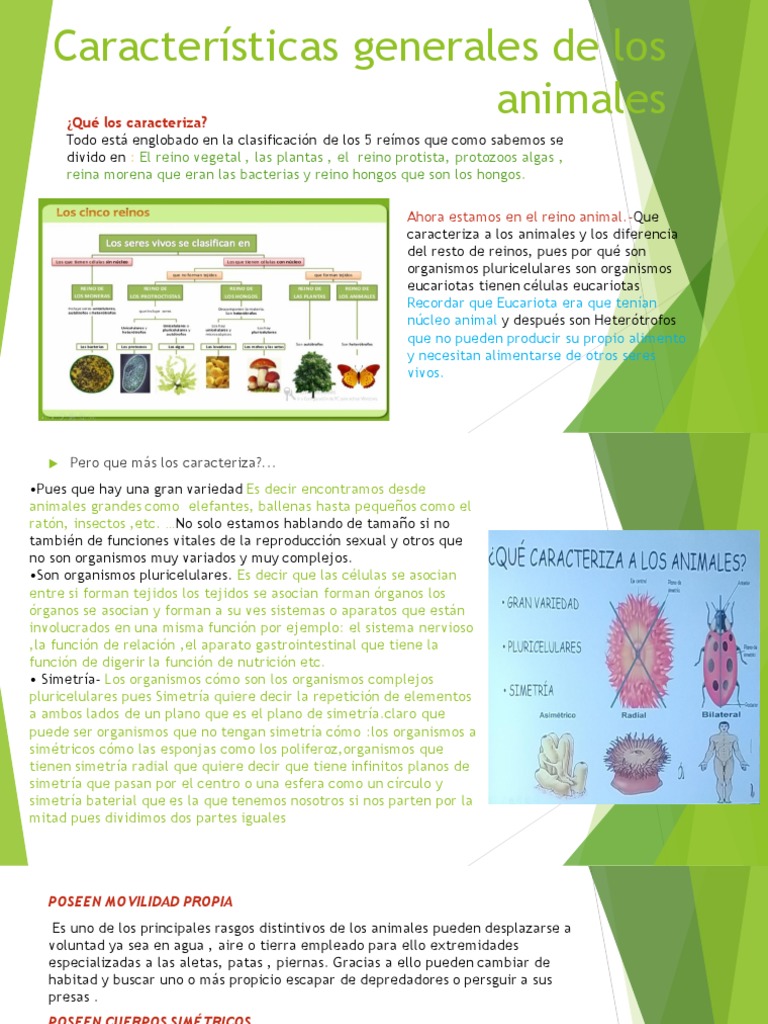 Características Generales de Los Animales | PDF | Eucariotas | Biología ...