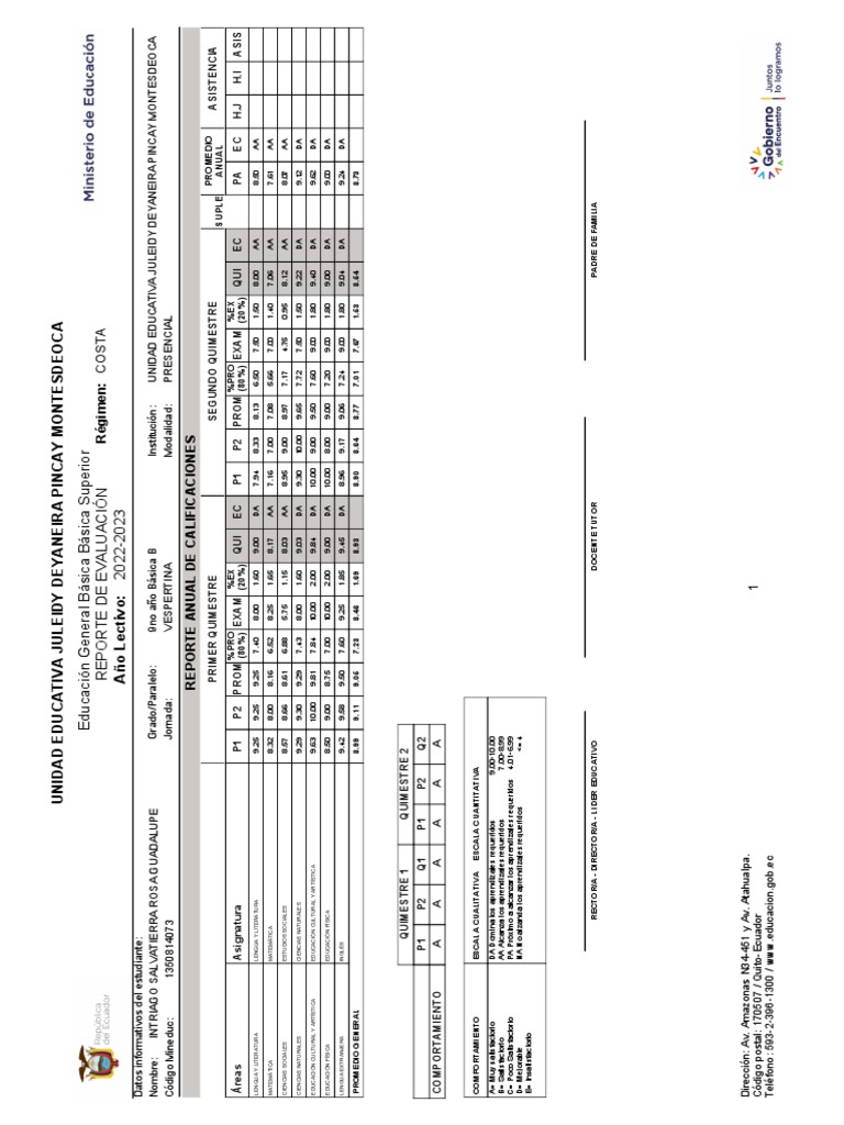 Reporte de Evaluación 9no Año Básica | PDF