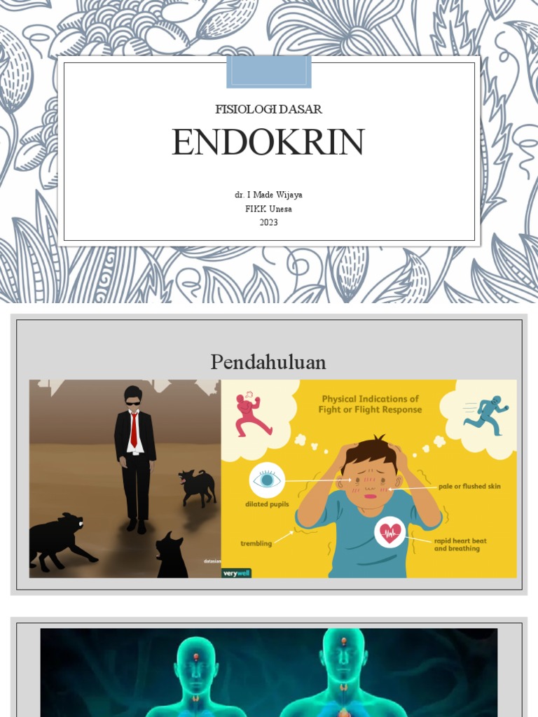Sistem Endokrin Pdf 